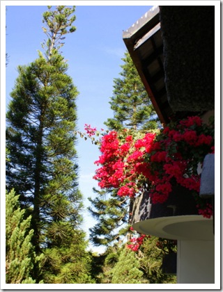 Life Thru The Lens: Strawberry Park Resort @ Cameron Highlands